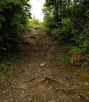 Happy Lake - Q Lake Lodge - - Manitoba's best drive-to lodge and ...